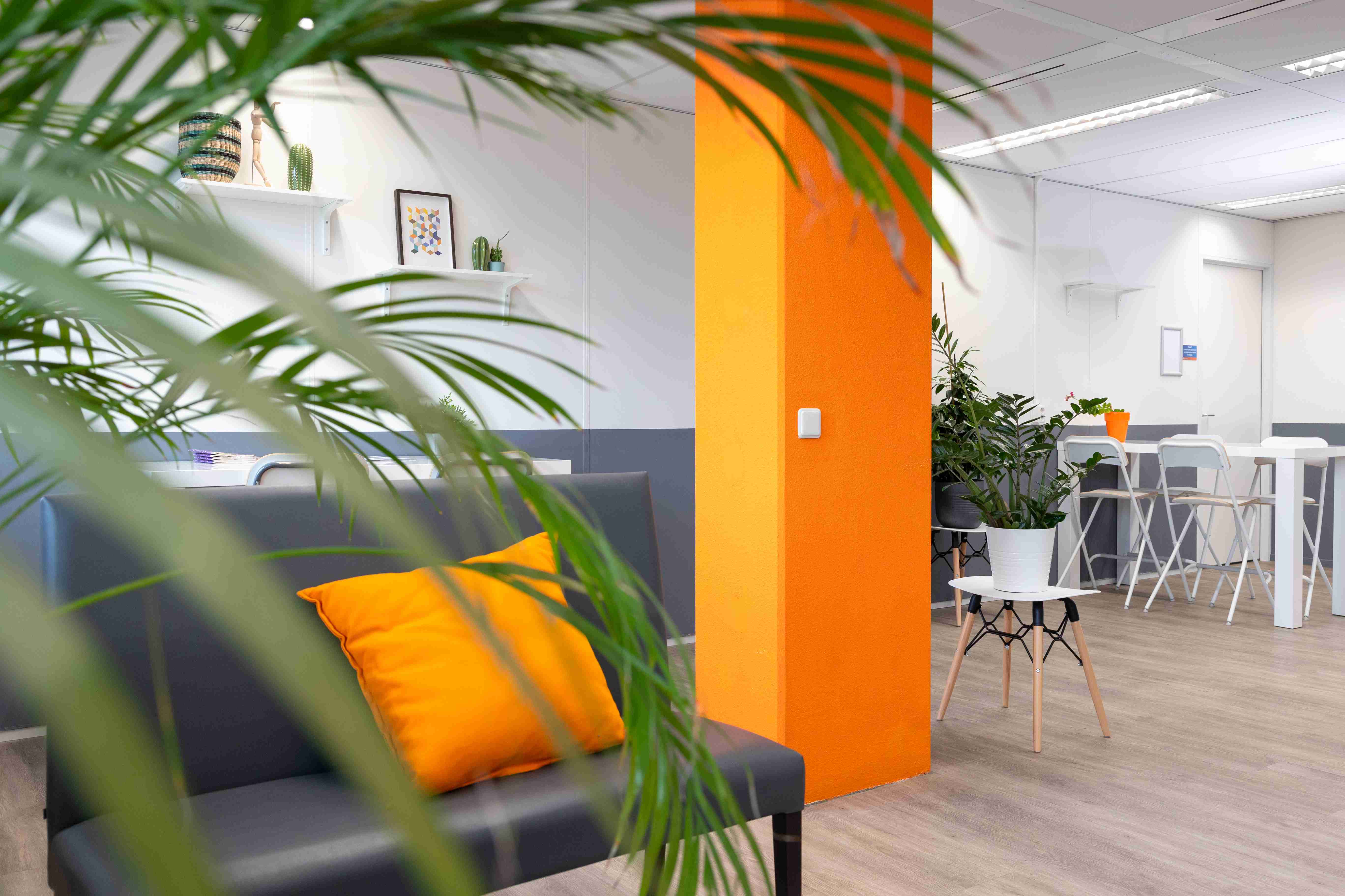 Capabel Onderwijs Zwolle - In 15 maanden jouw diploma