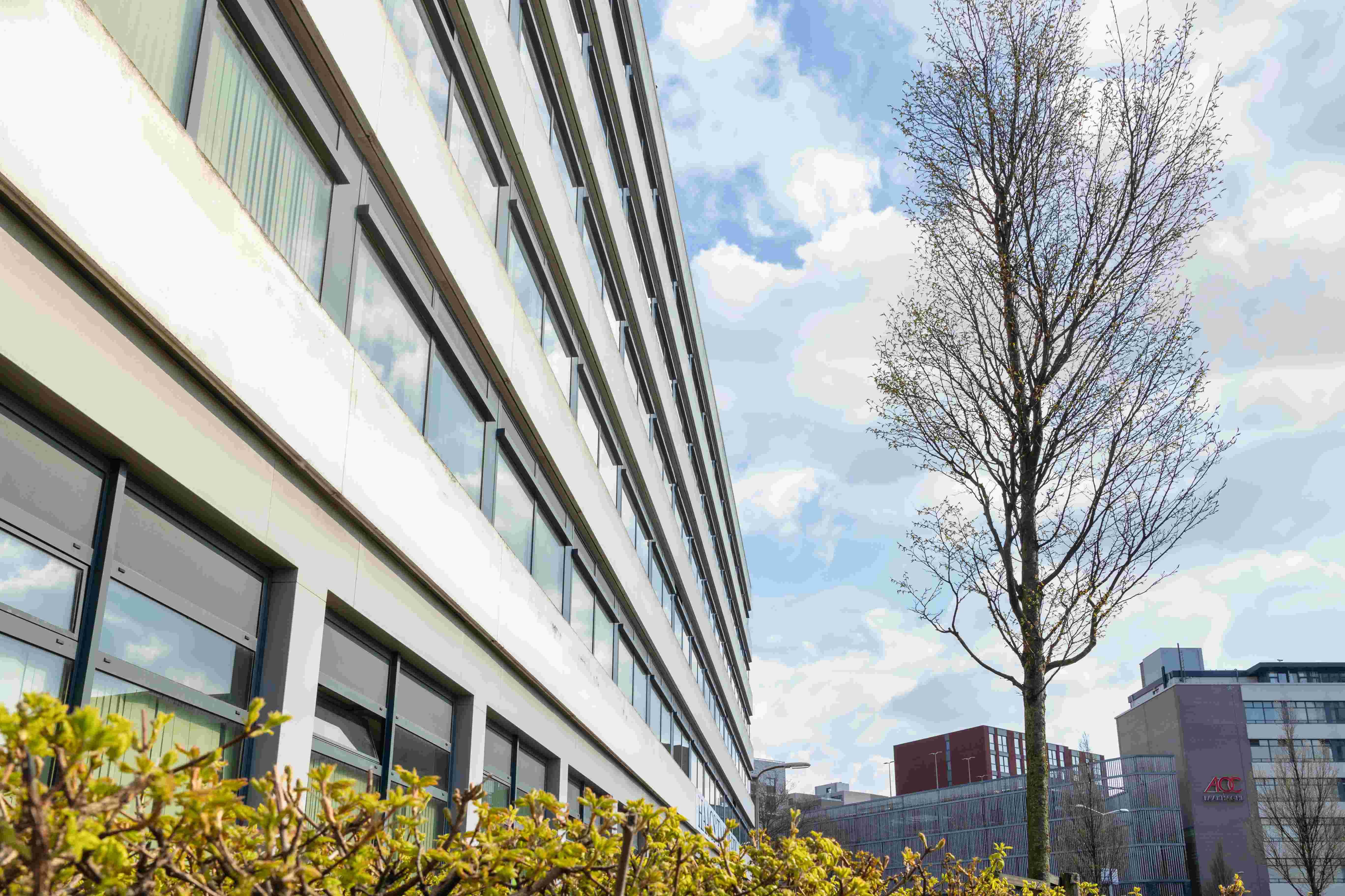 Capabel Onderwijs Den Haag - In 15 maanden jouw diploma